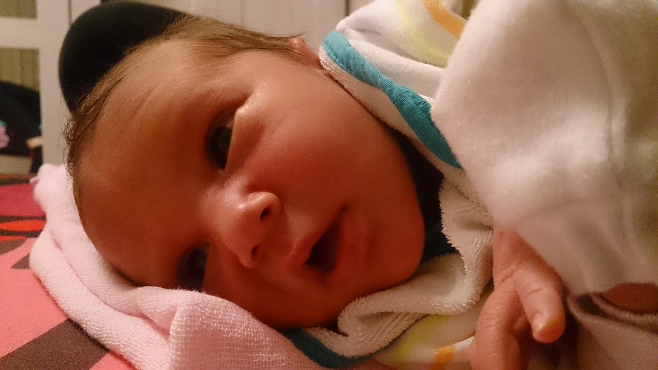 DSC 5076[1] — Postimages