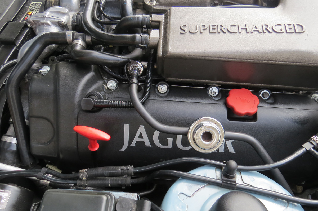 IMG 2395 — Postimages