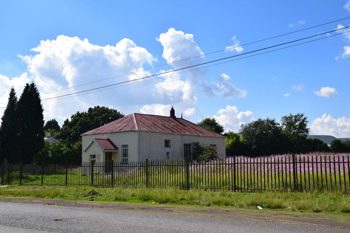 DSC 0115 — Postimages