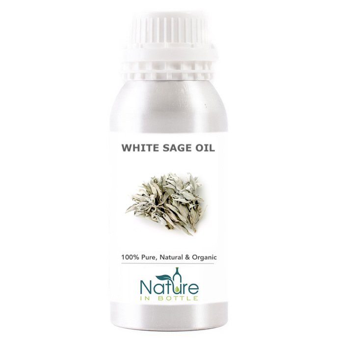 White Sage Essential Oil Organic - Sacred Sage Salvia Apiana