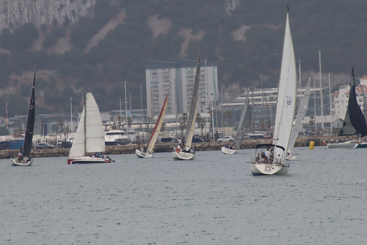 IMG 4631 — Postimages