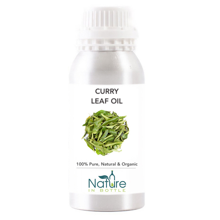 Curry Leaf Essential Oil Organic - Murraya Koenigii India