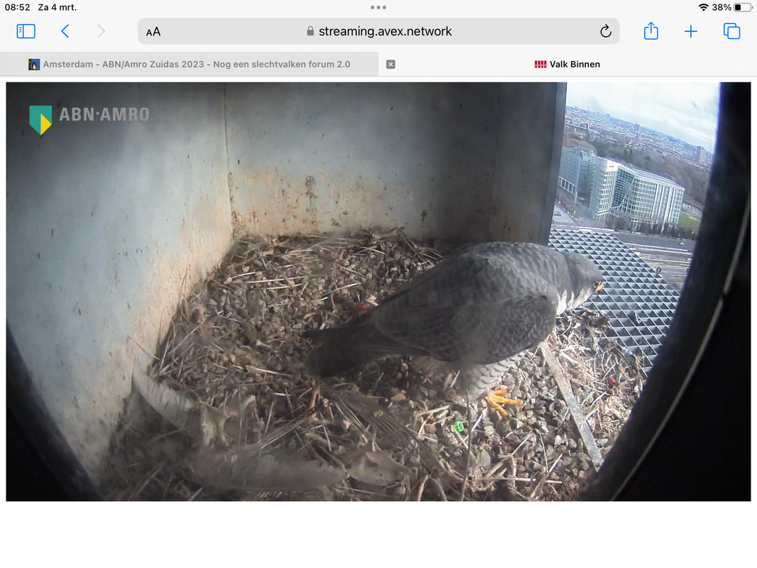 92 EECEE2 8054 4 E62 BA17 3 DFC2632 C7 B6 — Postimages