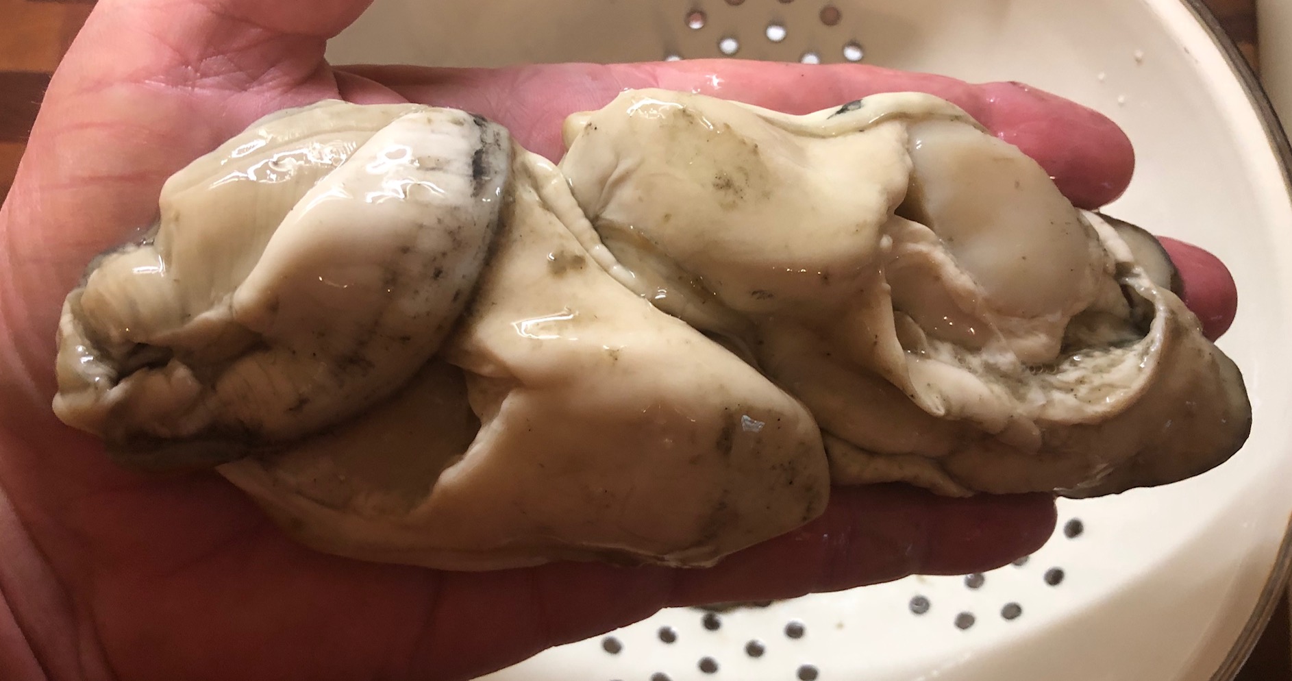 IMG 1205 — Postimages