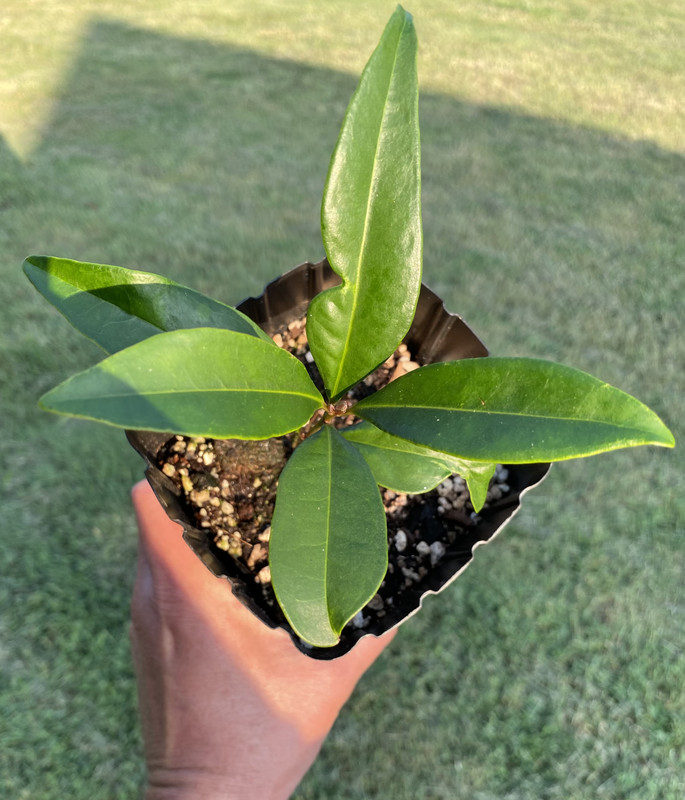 IMG 5683 — Postimages