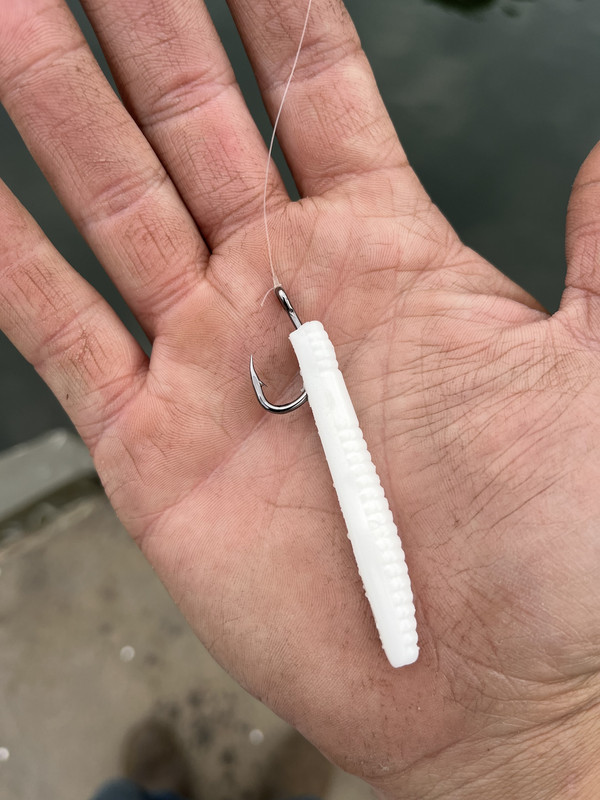 Latest Catch Pics Thread - Page 510 - Fishing Reports - Bass Fishing Forums