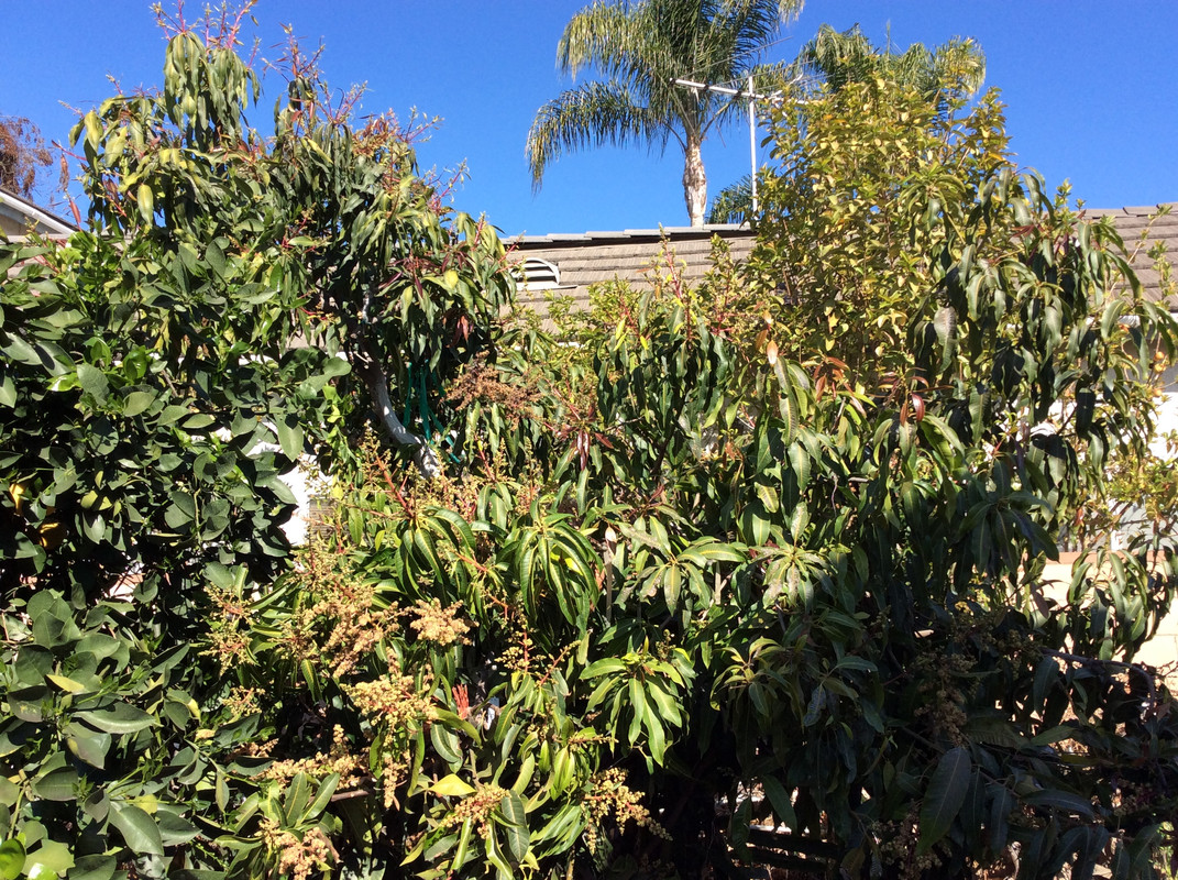 9 E705575 0 FE9 4034 B903 338 CE23724 F7 — Postimages