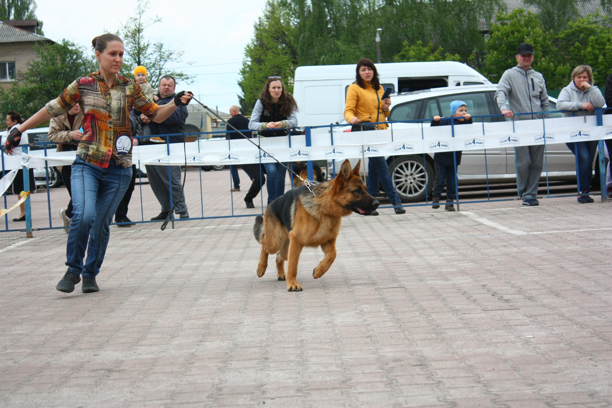 IMG 2139 — Postimages