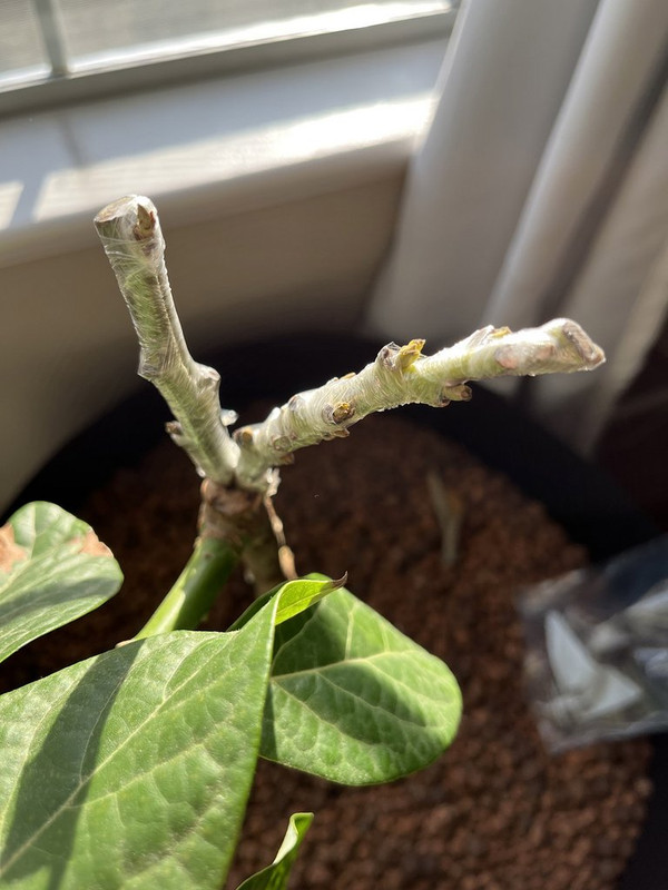 IMG 5609 — Postimages