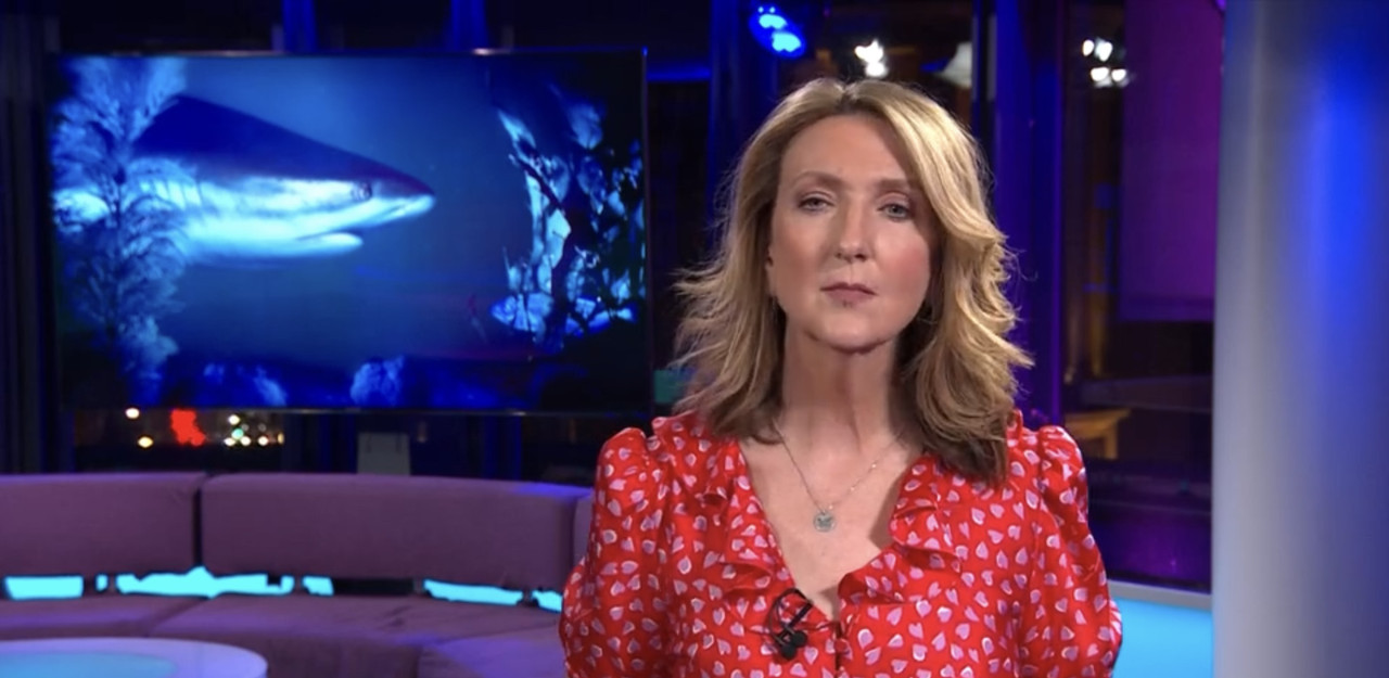 IMG 3446 — Postimages