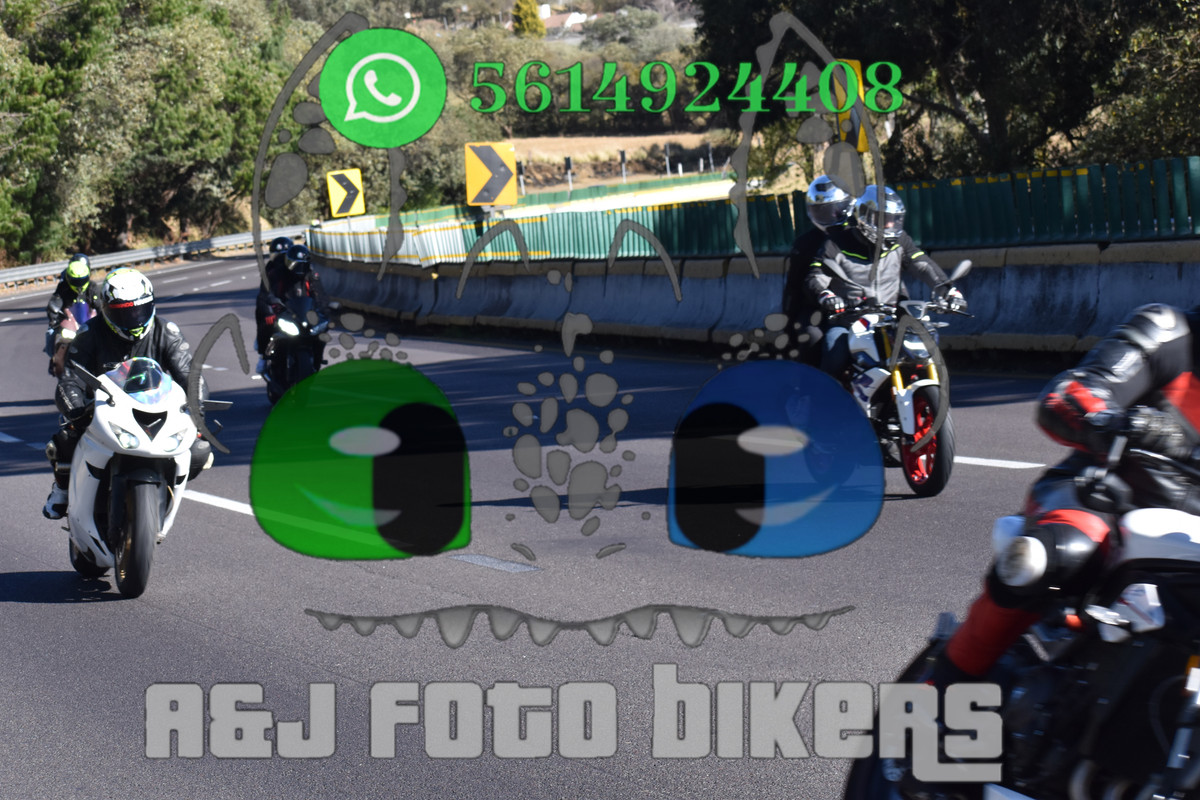 AVQ 0045 — Postimages