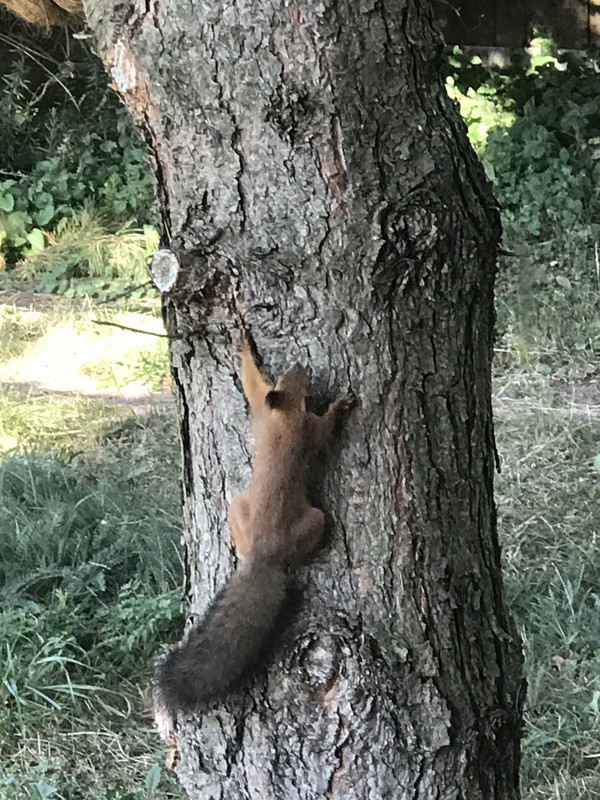 CDDC3910 82 D8 4186 9 CEE 8 E2 FA74 D50 A8 — Postimages