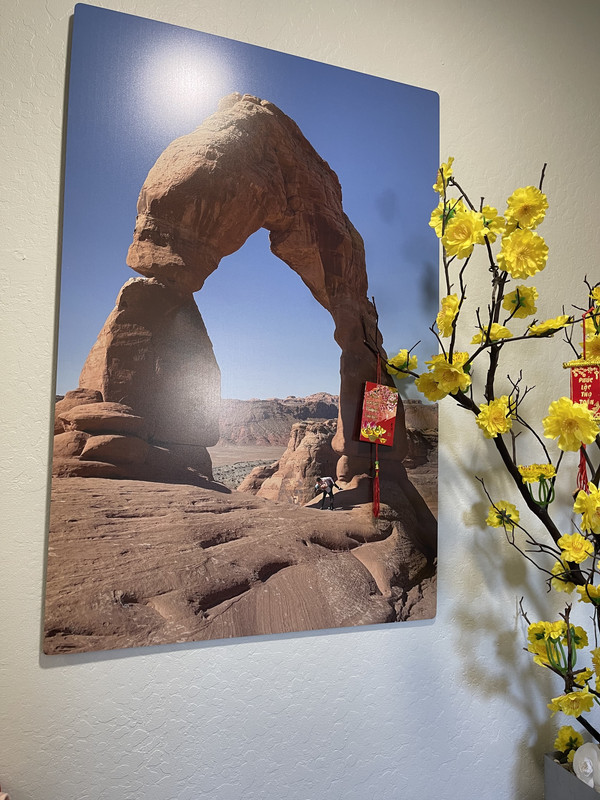 IMG 1695 — Postimages