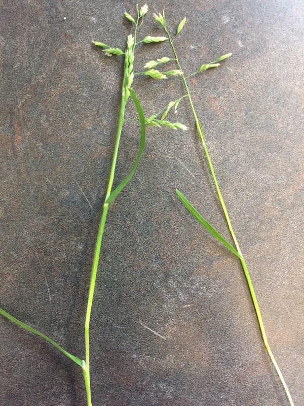 Full Size Render 4 — Postimages