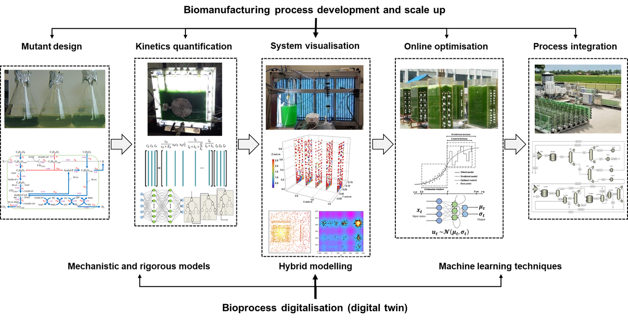 Dongda Zhang - Research Explorer The University of Manchester
