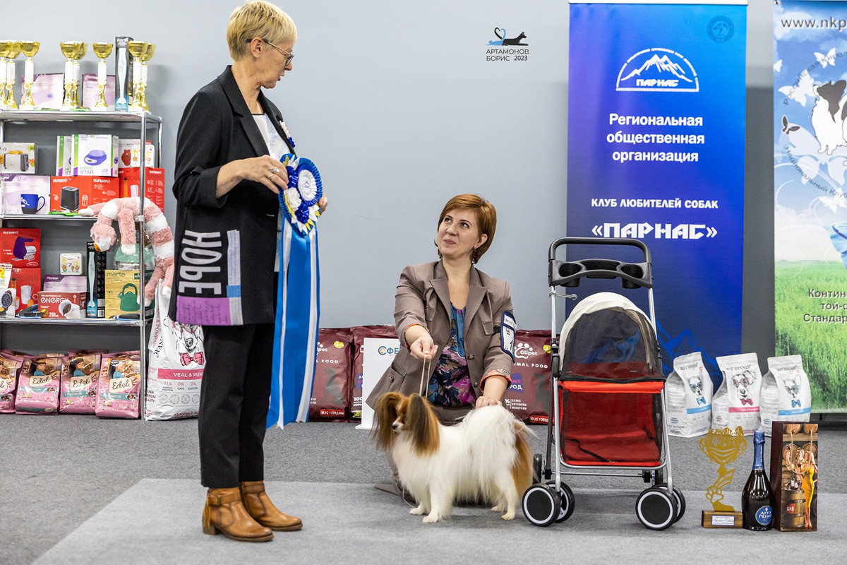 KADR0395 resized — Postimages