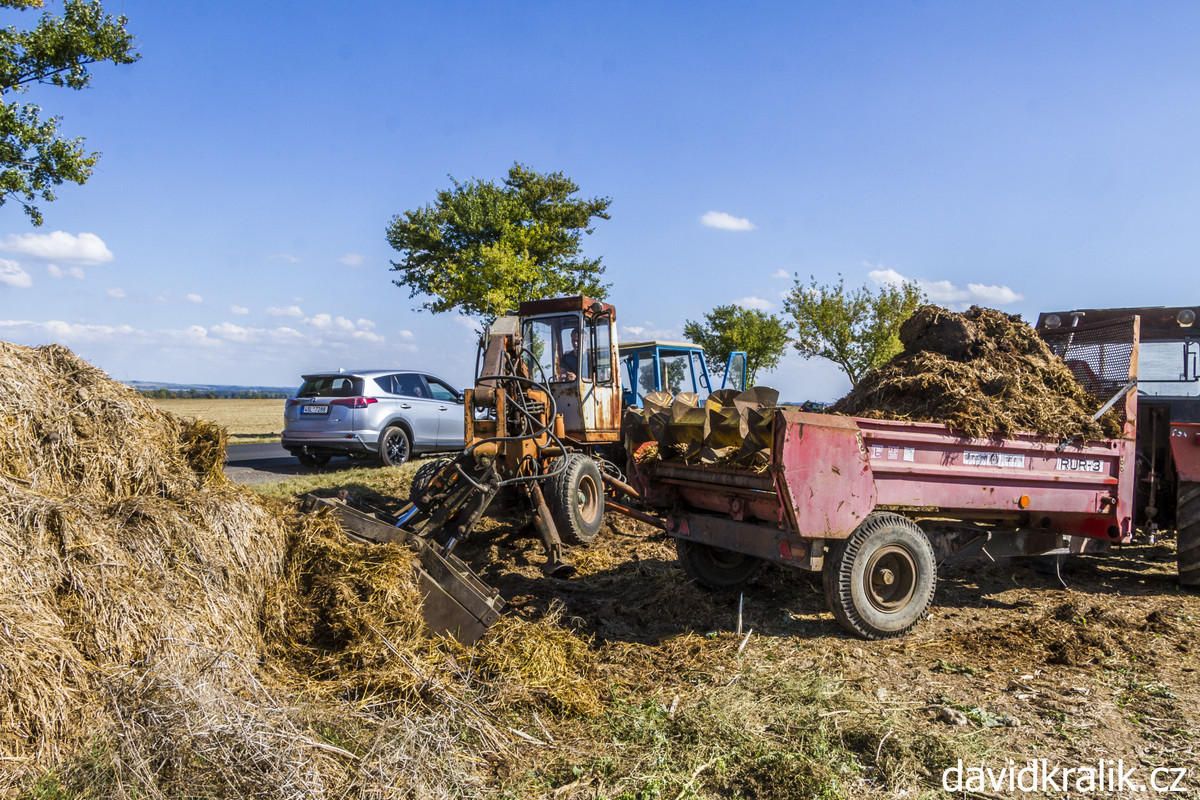 IMG 3805 — Postimages