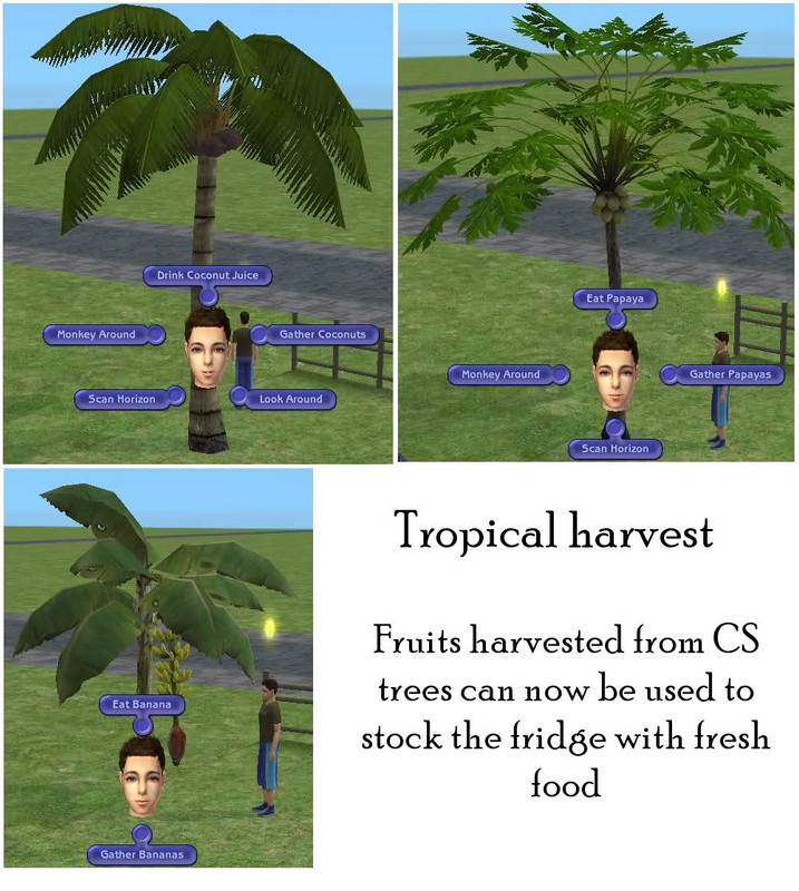 Harvestable Tropical Trees