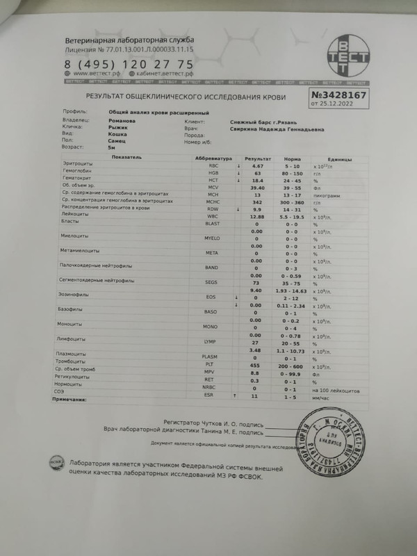 Fddc5 D93 7761 47 Db B065 80 B55 A8 Ecf85 — Postimages