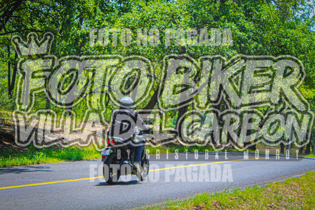 c2p3 103 — Postimages