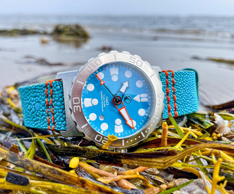 IMG 3753 1 [1600x1200] — Postimages