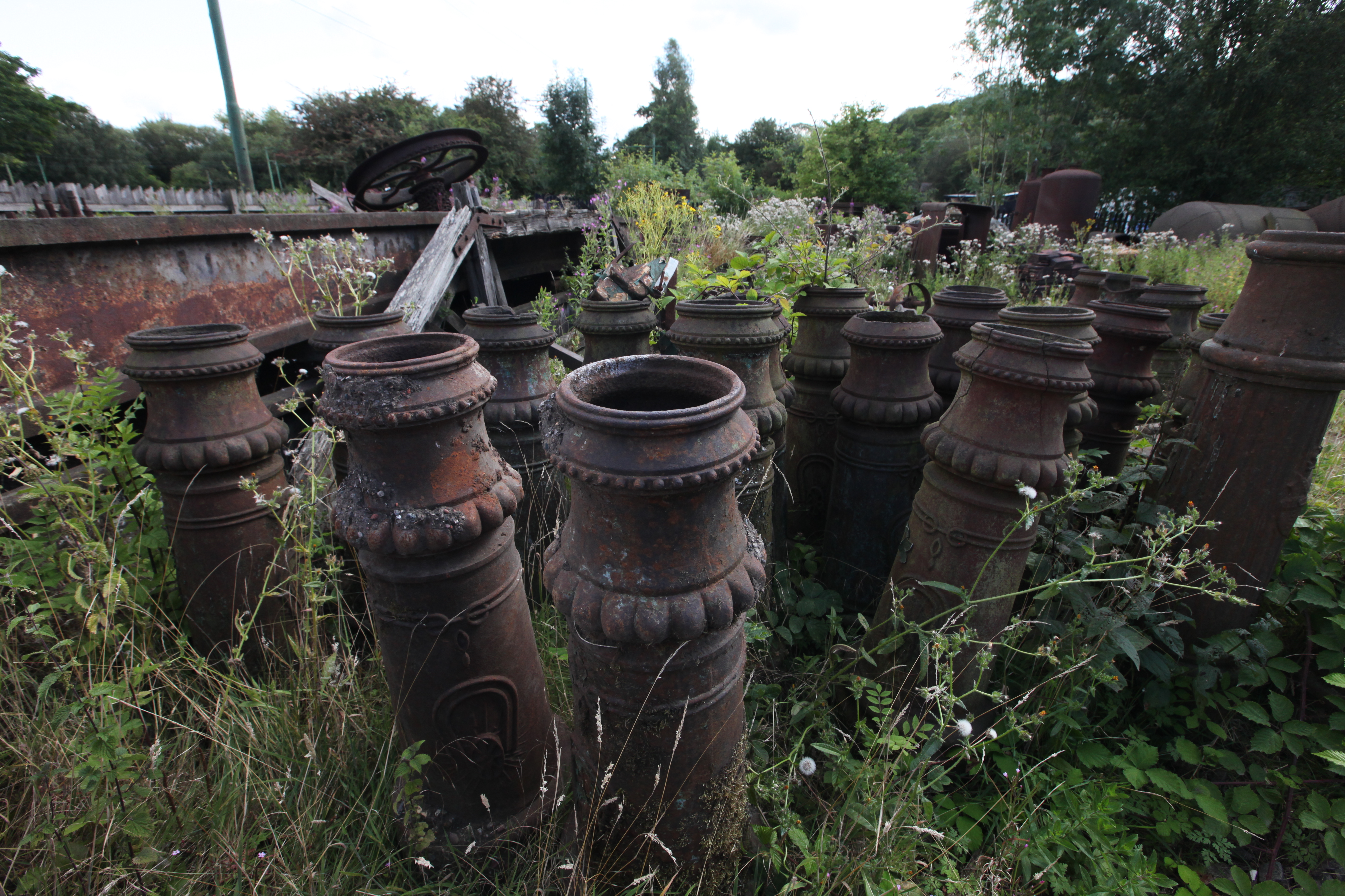 IMG 6597 — Postimages