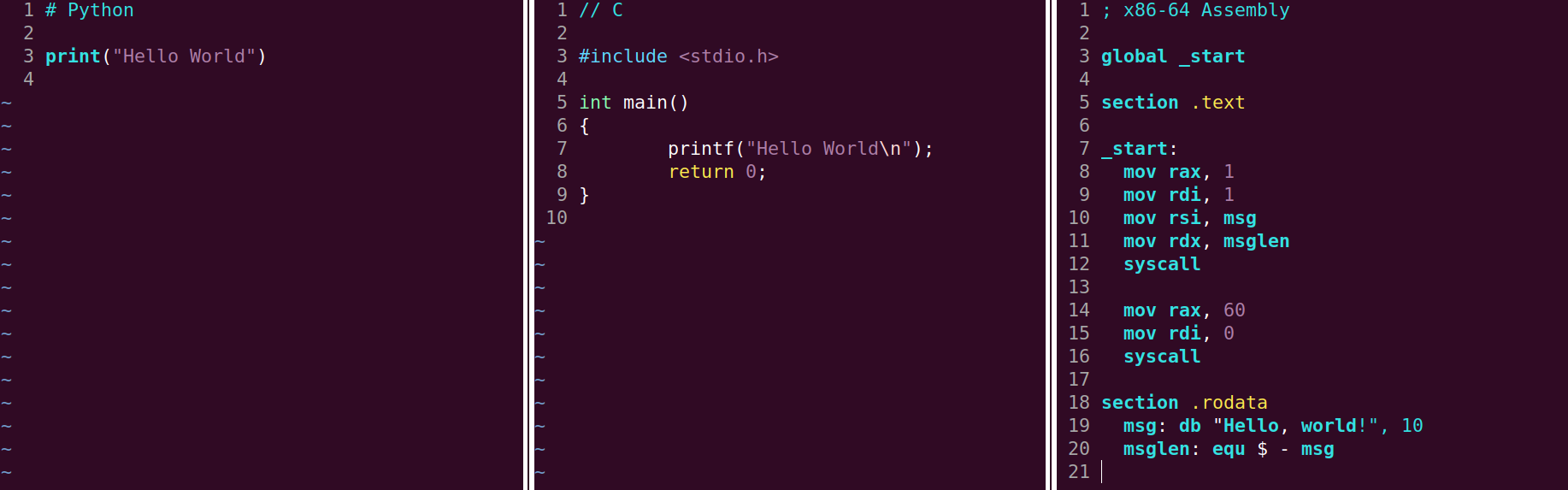 GitHub - CSeCIITB/module-1-c-and-asm