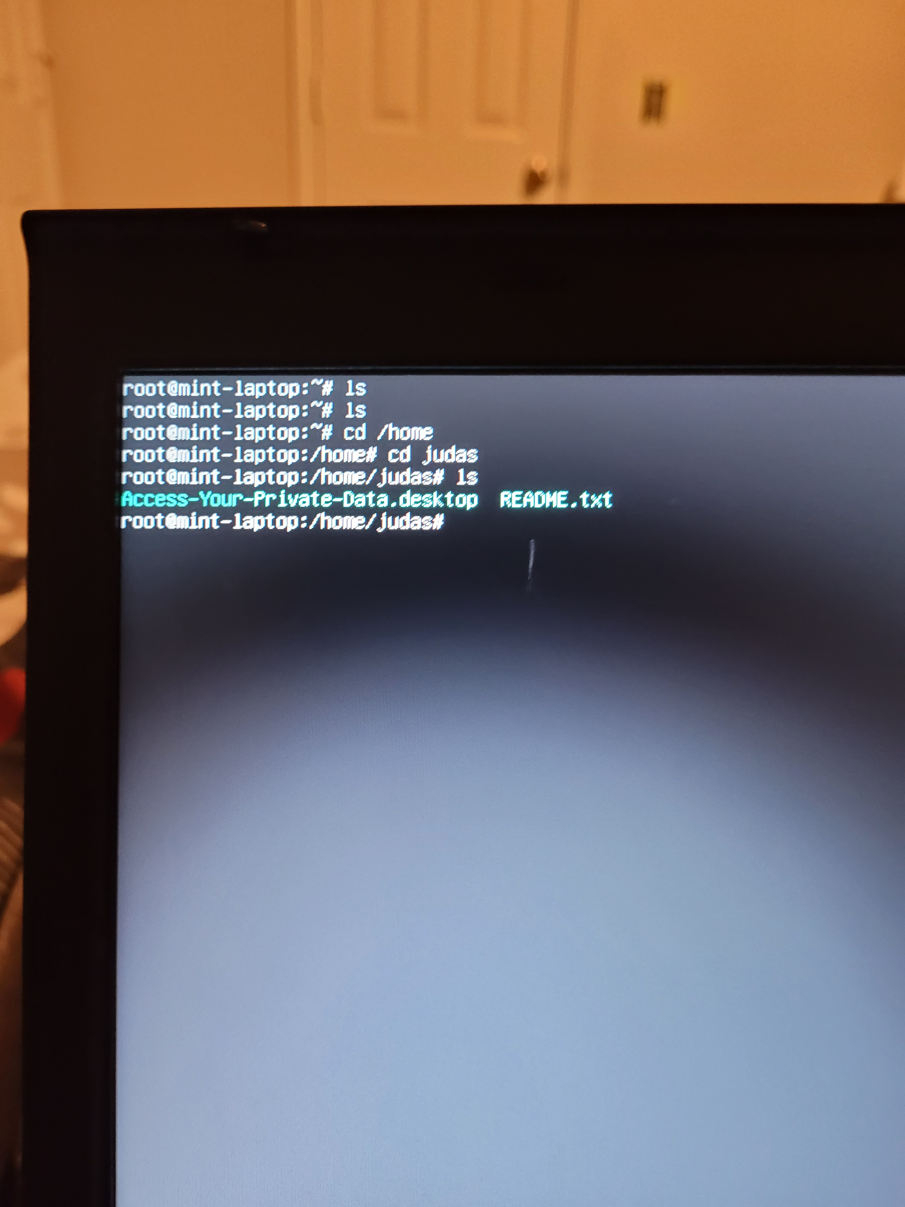 Linux update totalled my system. All files gone. Goodbye forever Linux ...