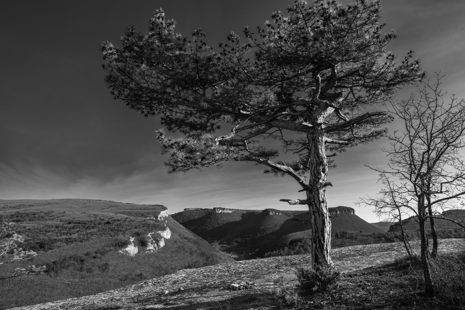 V0003557 1618 — Postimages