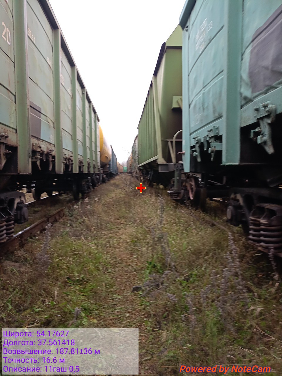 20231030 113625 — Postimages