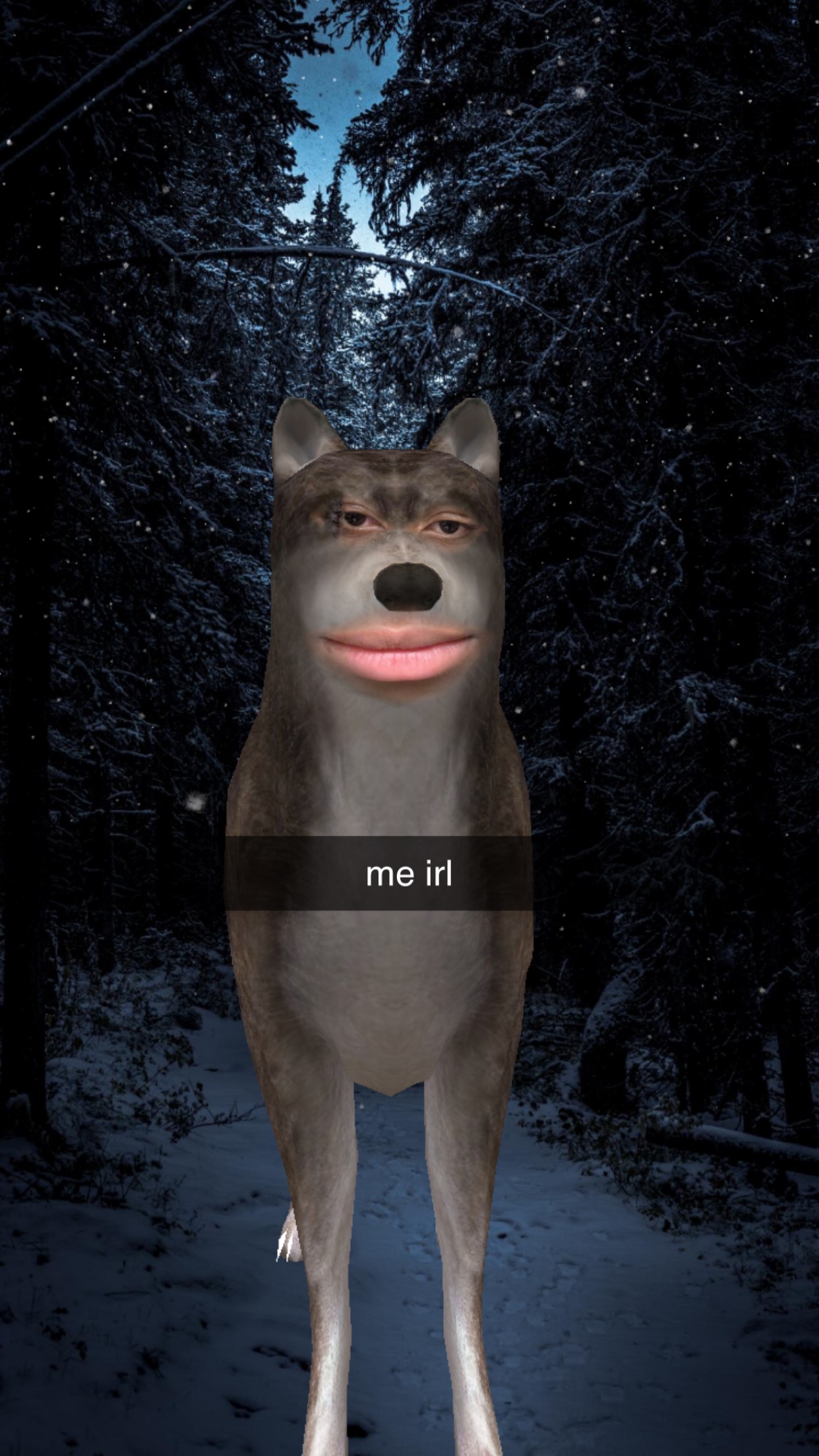 IMG 1301 — Postimages