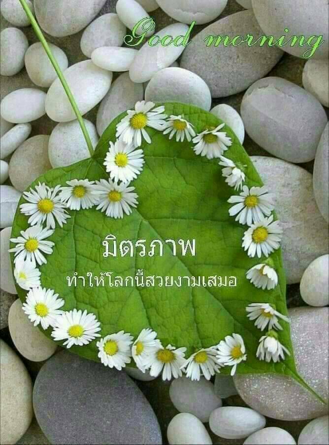 128561 — Postimages