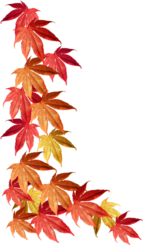 16 161093 autumn leaves png — Postimages