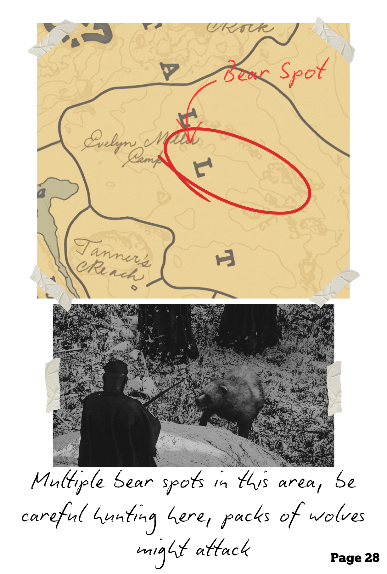 Sensa Wild Dot Outline Shade 19 — Postimages