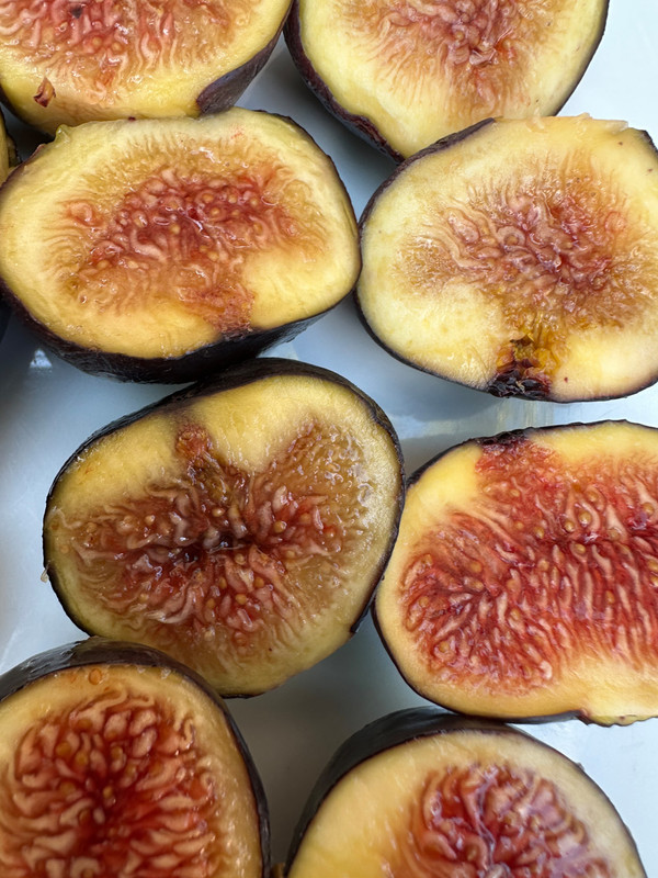 Disappointment | Fig Fanatic