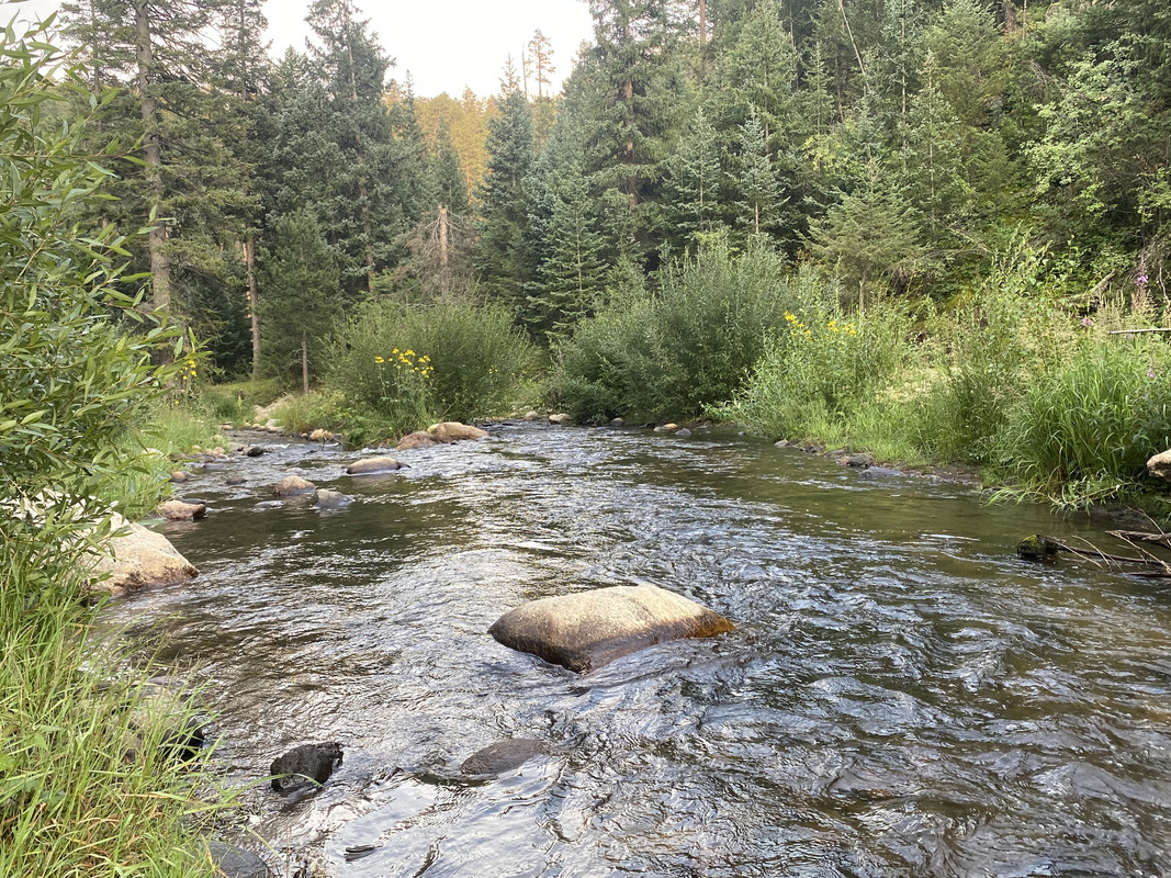 IMG 5641 — Postimages