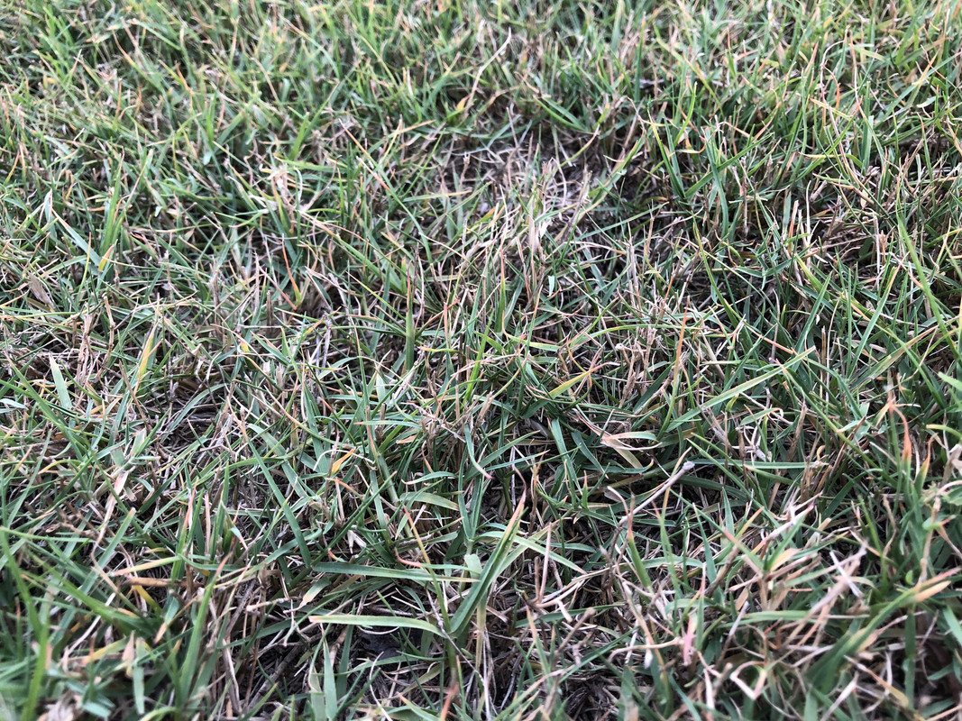 IMG 2772 — Postimages