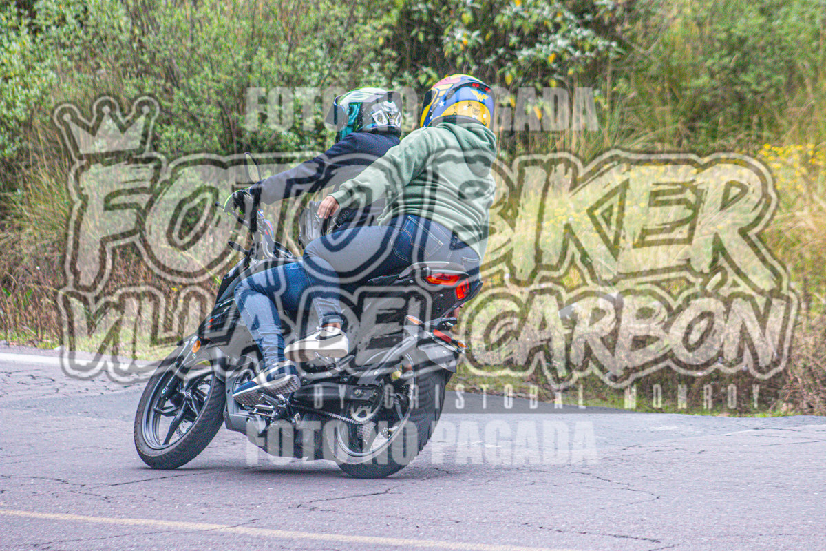 cv1 113 — Postimages