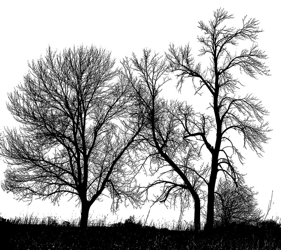 Second — Postimages