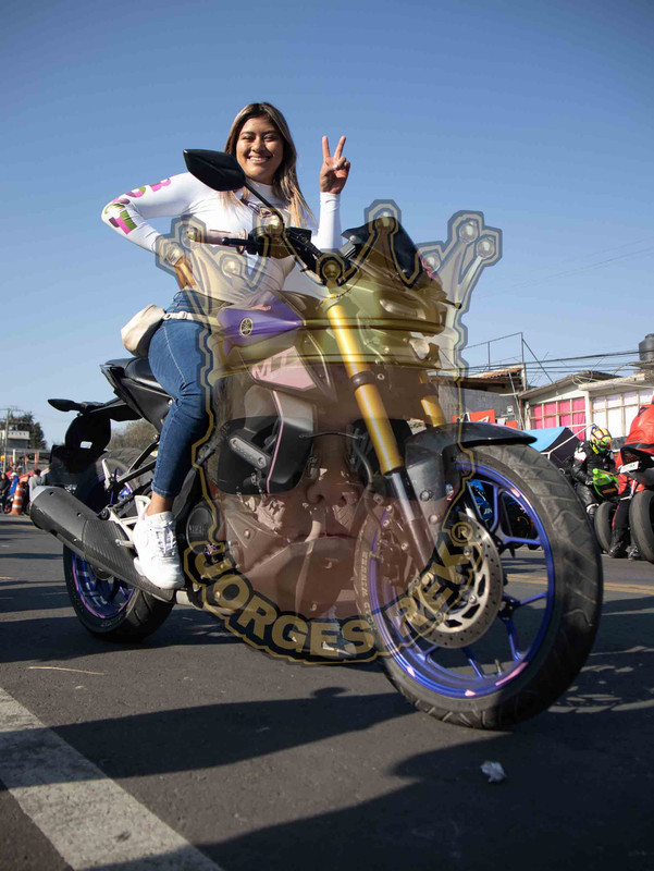 IMG 8169 — Postimages