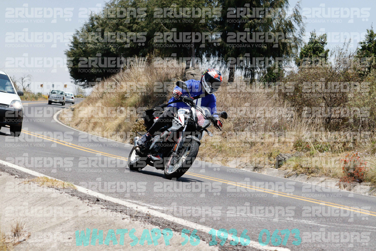 MG 1011 — Postimages