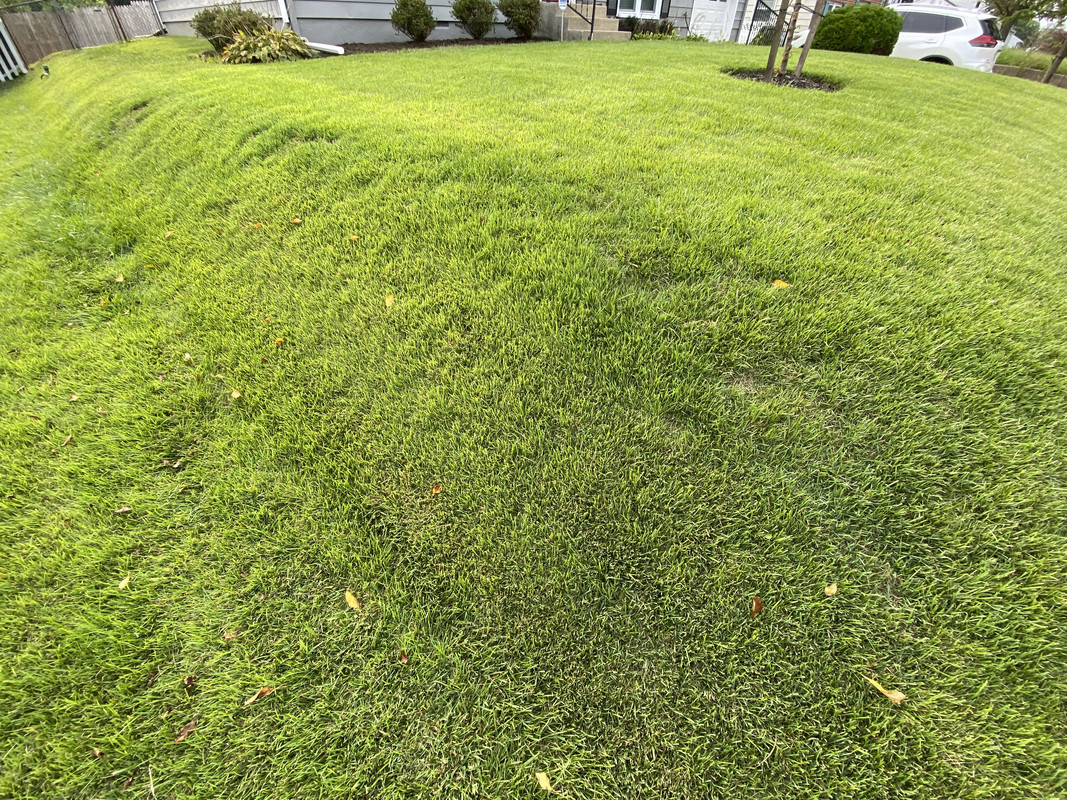 Water not soaking in on a slope. Is there a fix? | Page 2 | Lawn Care Forum
