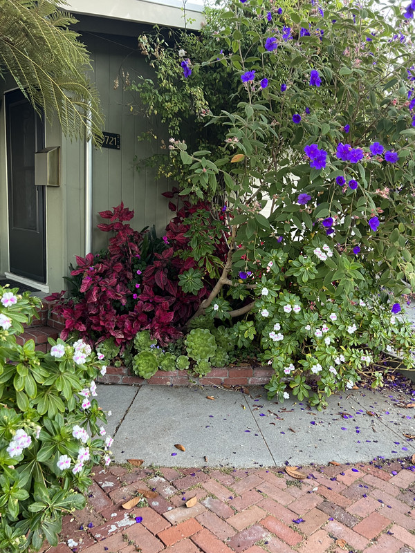 IMG 7486 — Postimages