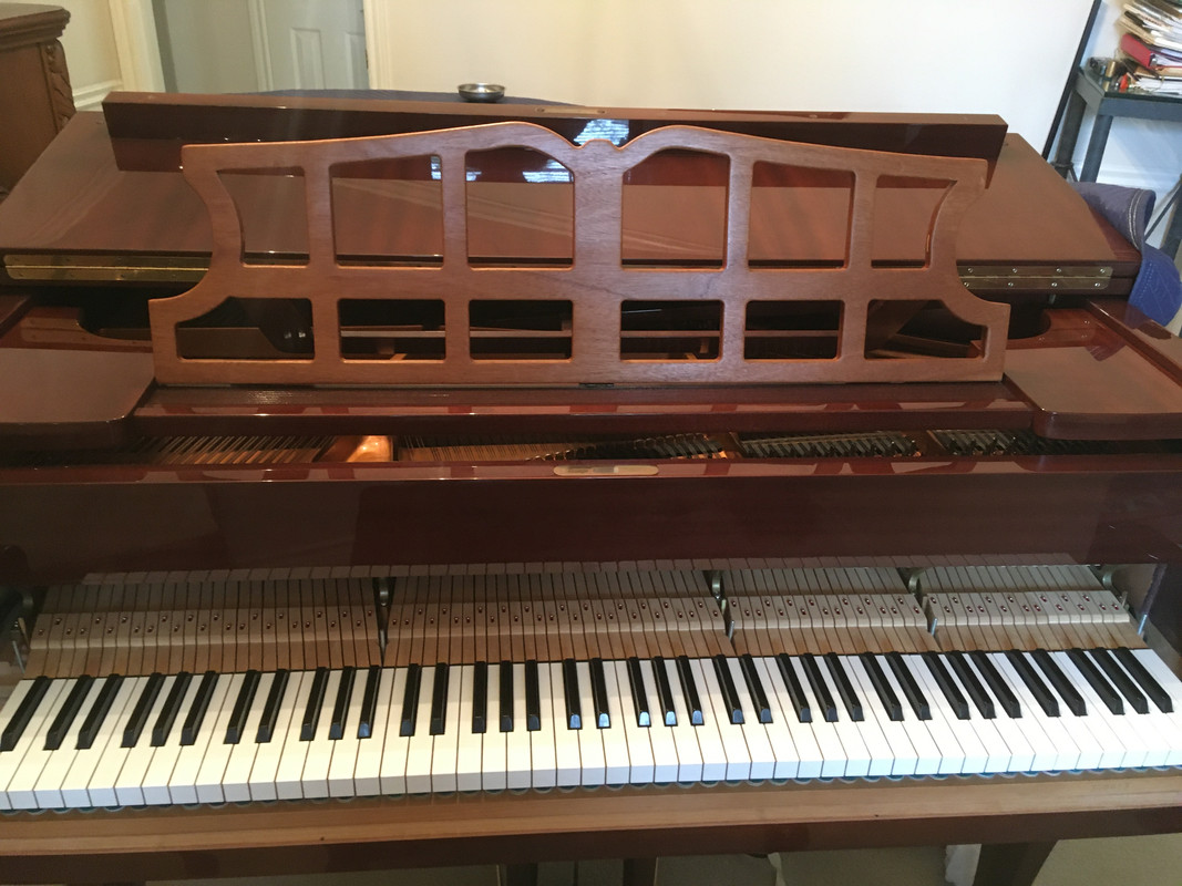 IMG 2004 — Postimages