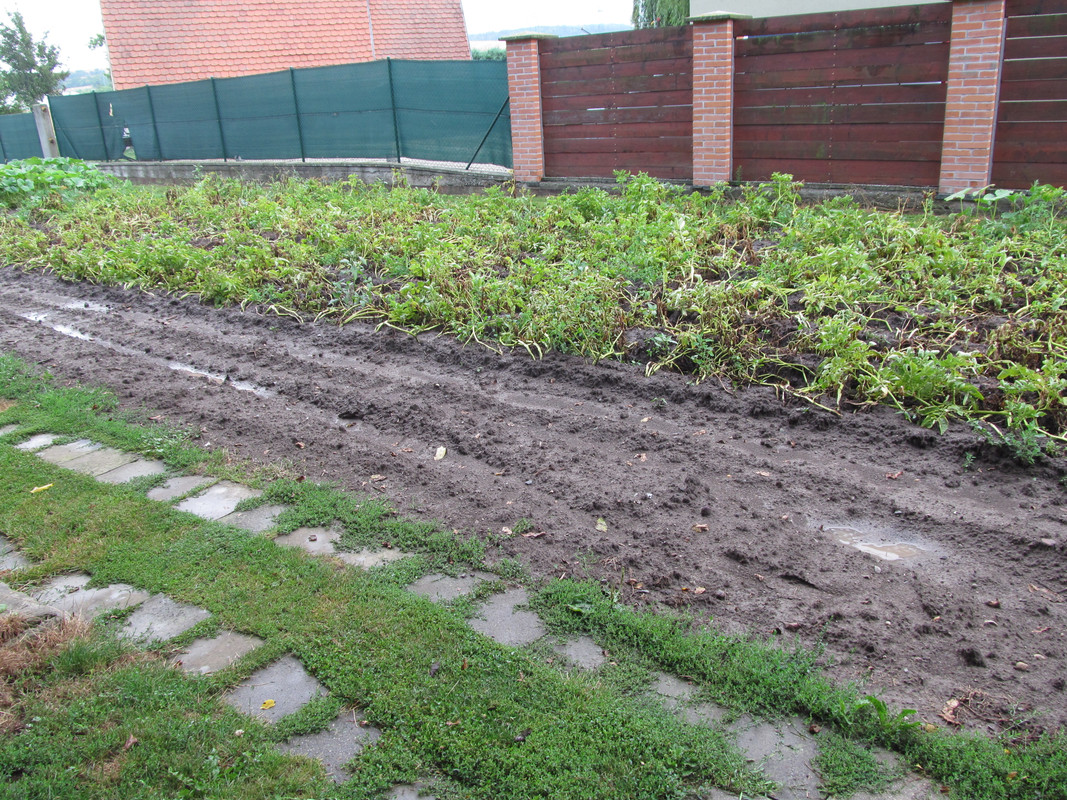 IMG 5460 — Postimages