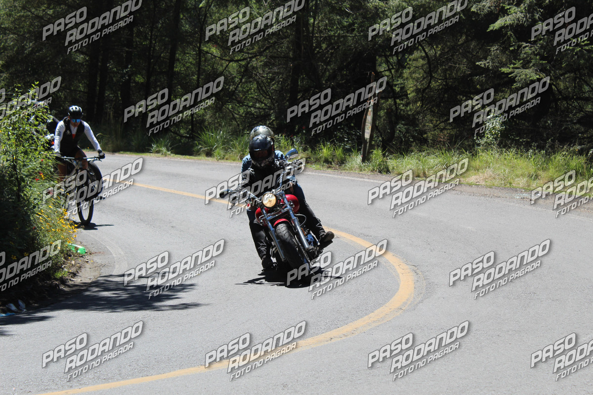 IMG 5493 wm 1214639 0999999978 watermarked — Postimages