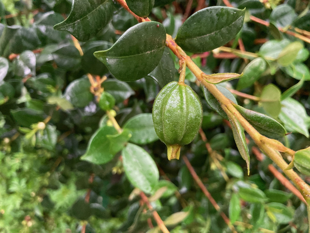 IMG 2019 — Postimages