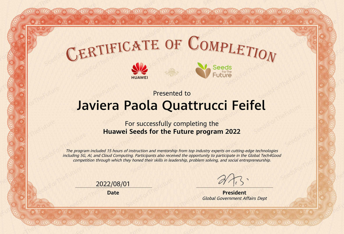 Javiera Paola Quattrucci Feifel Certificate — Postimages