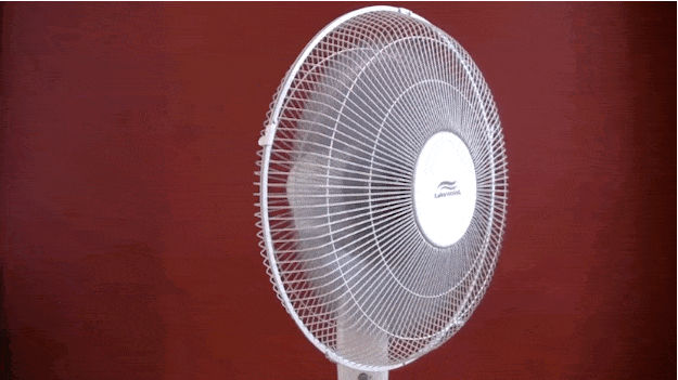 Jennifer Lawrence - Jennifer Animations #30 - Because no Jennifer gif ...